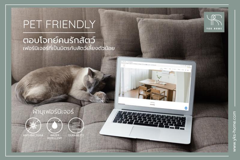 PET FRIENDLY เฟอร์นิเจอร์ที่ตอบโจทย์คนรักสัตว์ - YKS HOME เฟอร์นิเจอร์ไม้จริง สไตล์มินิมอล